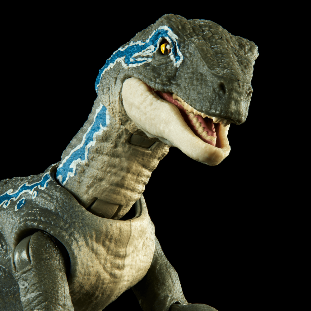 Jurassic World Hammond Collection Velociraptor Blue Dinosaur Figure ...