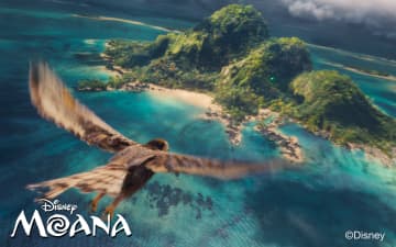 Disney Moana Dolls and Toys for Kids | Mattel
