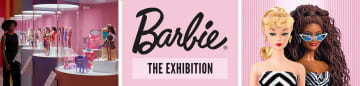 Barbie Doll | Barbie Toys | Barbies | Mattel